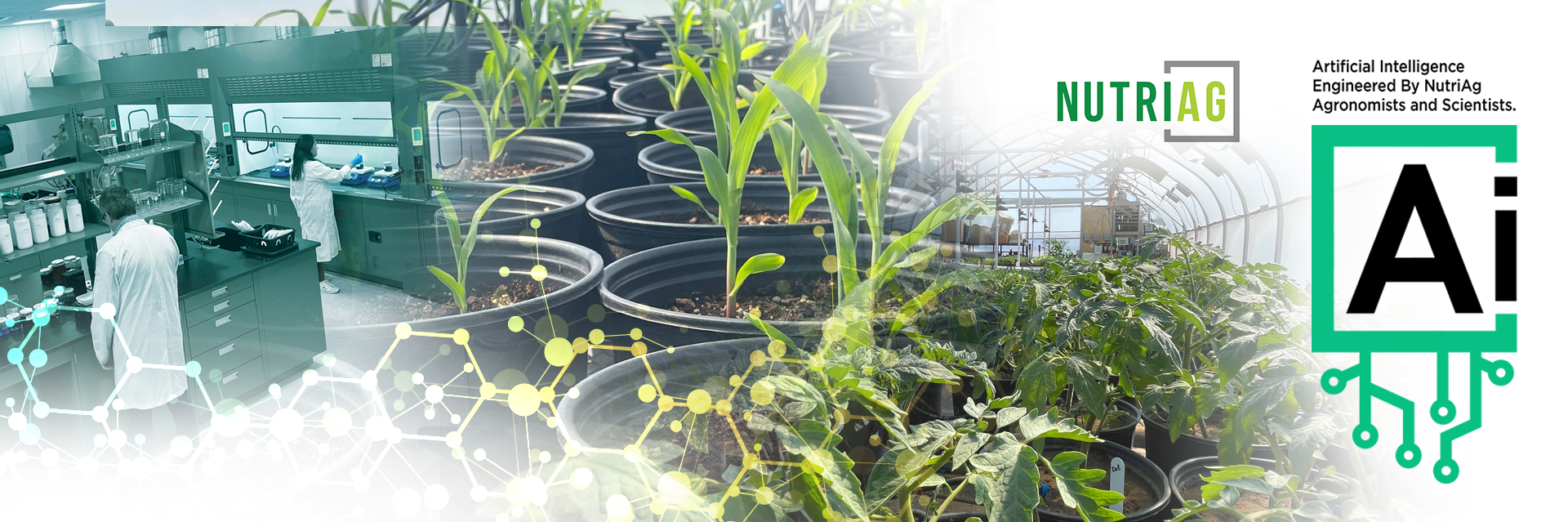 Inteligencia Artificial para revolucionar el desarrollo de productos de nutrición de cultivos ...