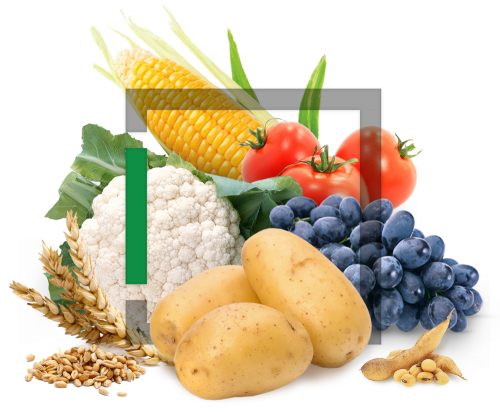 Nutriag – Leaders in Plant Nutrition