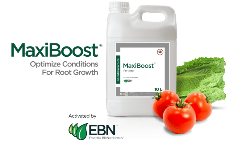 MaxiBoost Canada – Nutriag