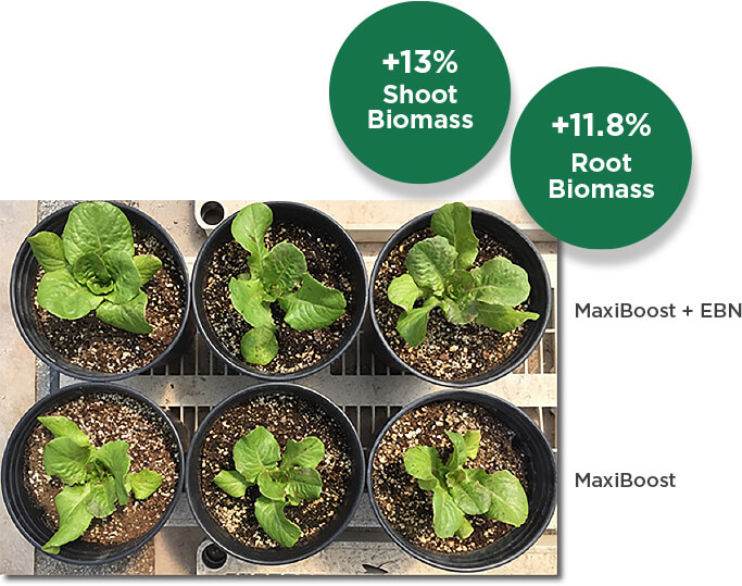 MaxiBoost Canada – NutriAg