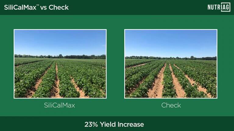 Technology Canada – NutriAg