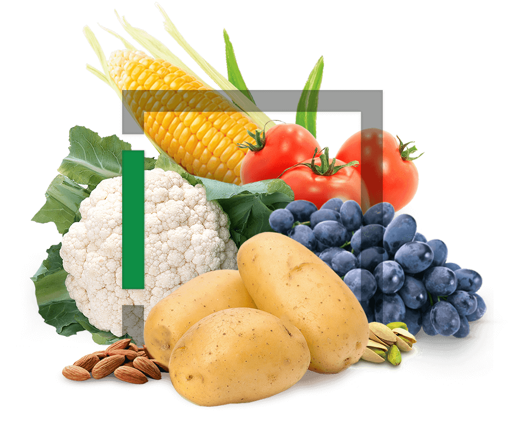Home – USA – Nutriag